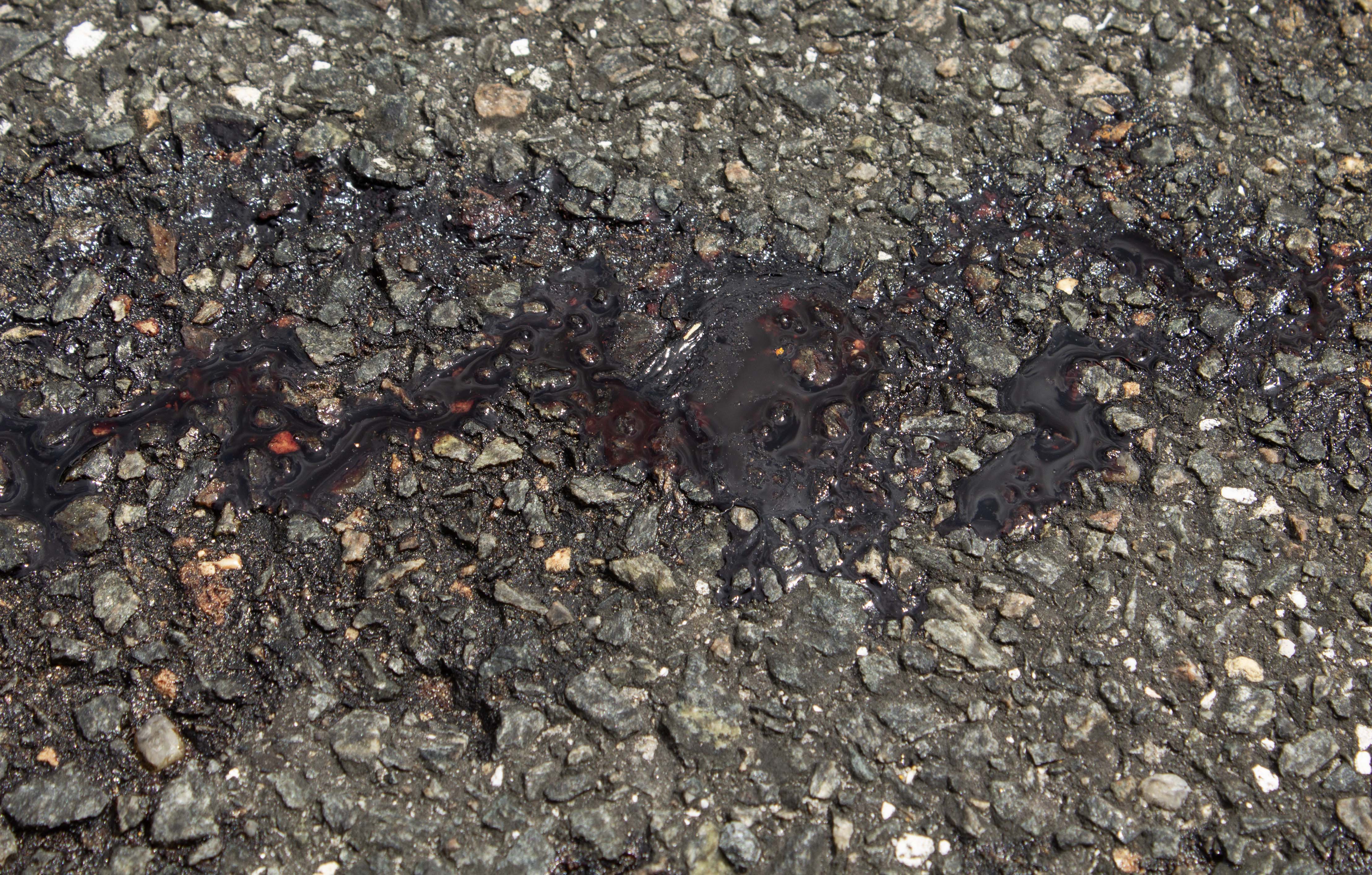 Blood on the Pavement – Storm surge Photo